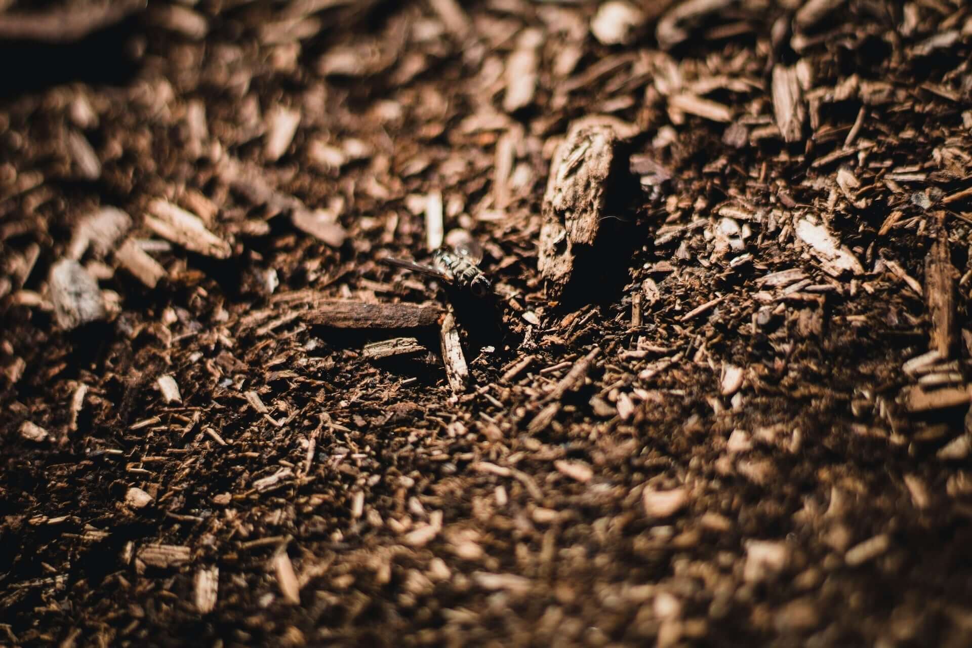 Stones vs. Mulch: Which Landscaping Material is Right for Your Project ...